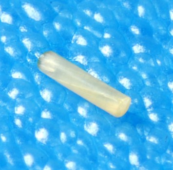 SOFT PLUG - Collagen Intracanalicular Plugs | Blue River Medical, Inc.